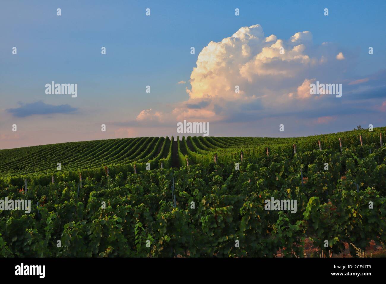 South Moravian Region High Resolution Stock Photography and Images - Alamy