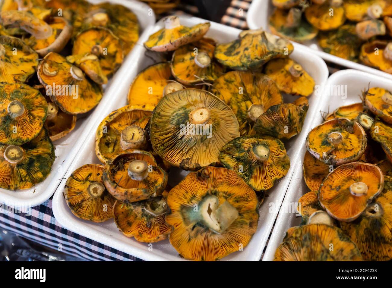 Close up of saffron milk cap mushrooms in plastic packaging Stock Photo ...