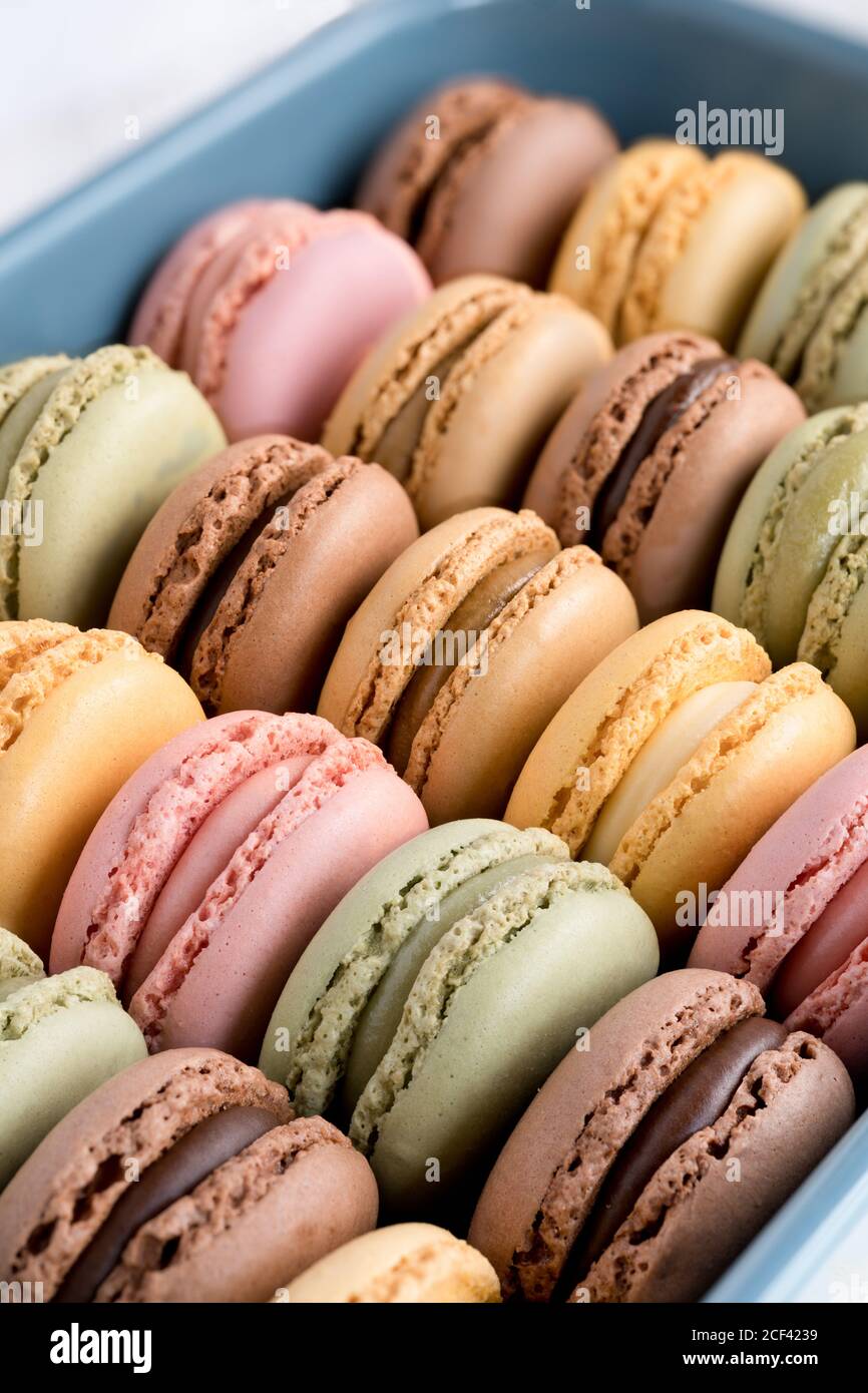 Container stuffing hi-res stock photography and images - Alamy