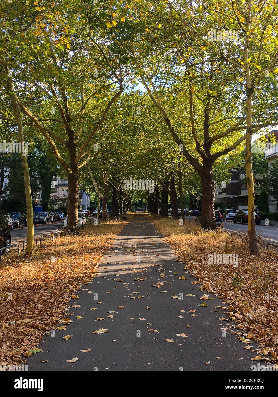 Leaf covered pathway hi-res stock photography and images - Alamy