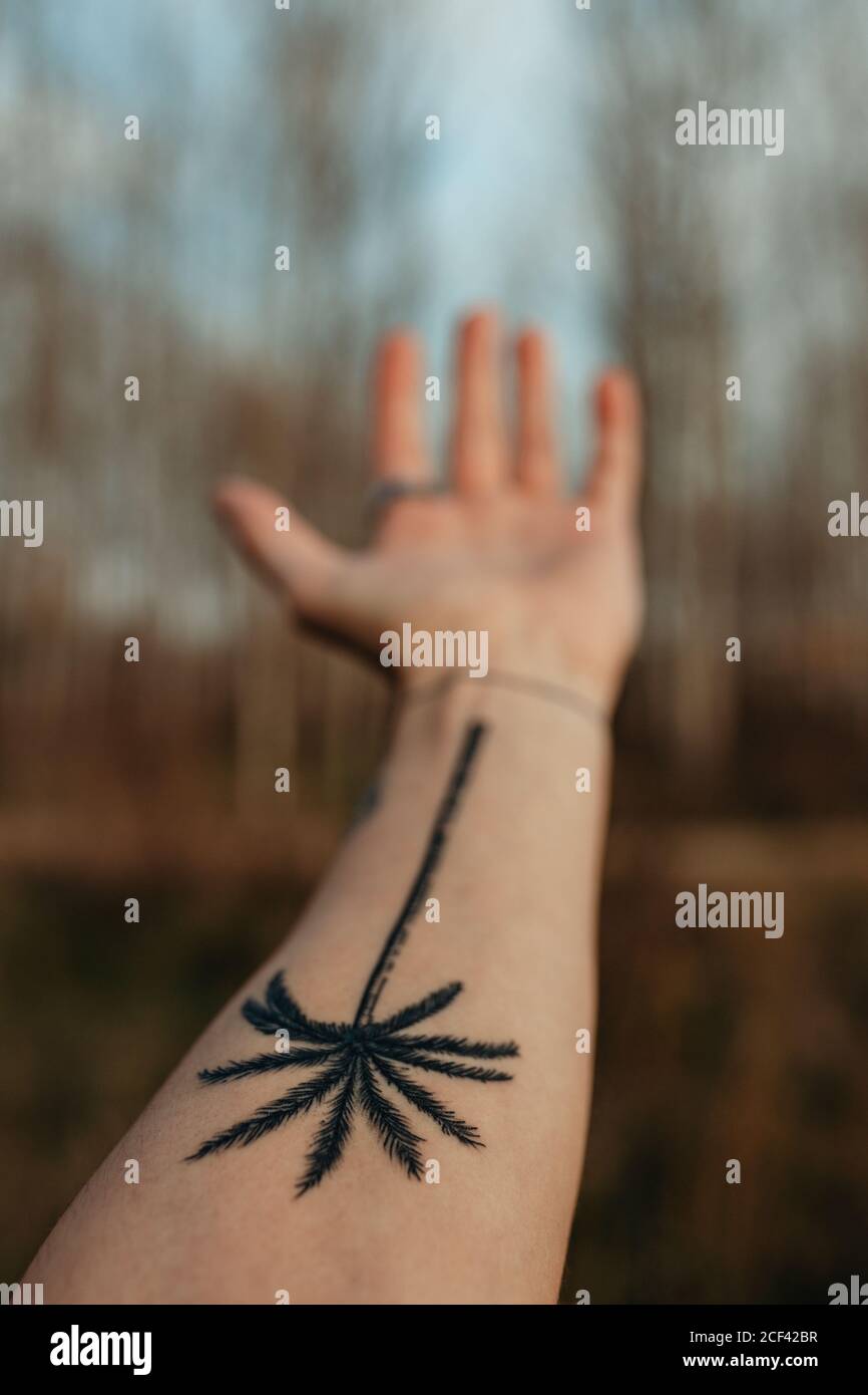 Crop hand with tattoo in countryside Stock Photo - Alamy