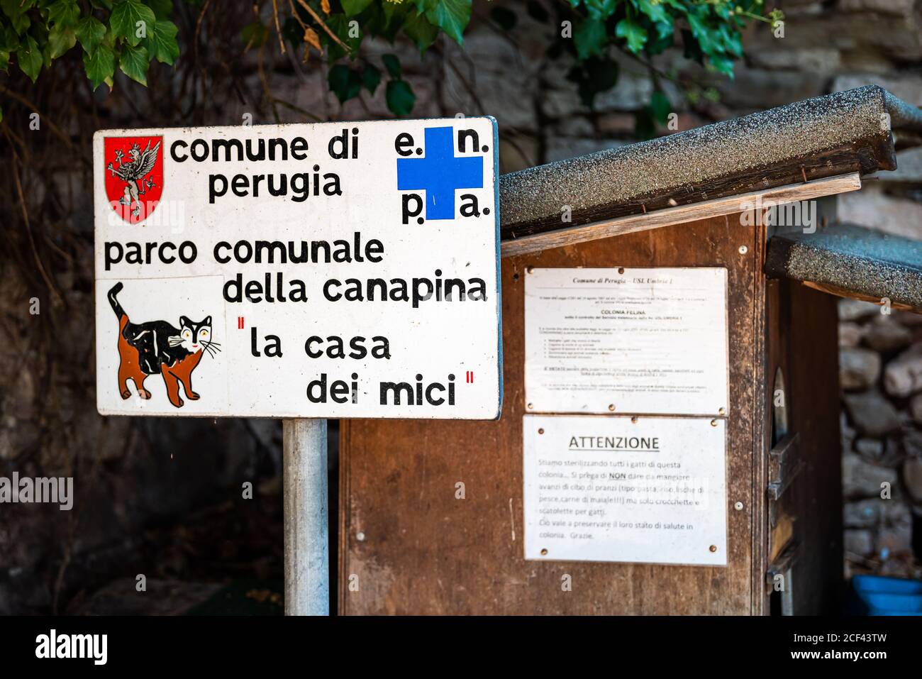 City Cats High Resolution Stock Photography and Images - Alamy