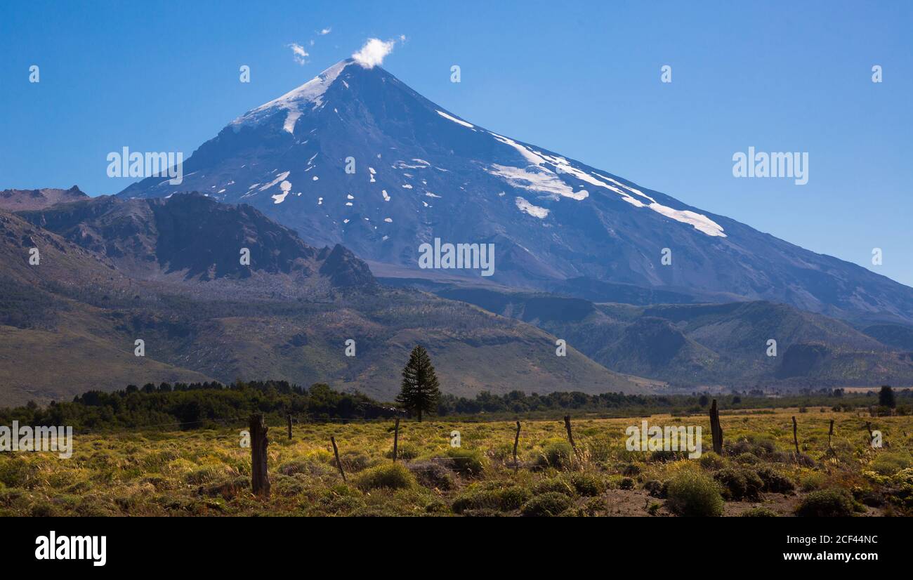Spectacular view on Lanin volcano in Patagonian Andes on the border of ...