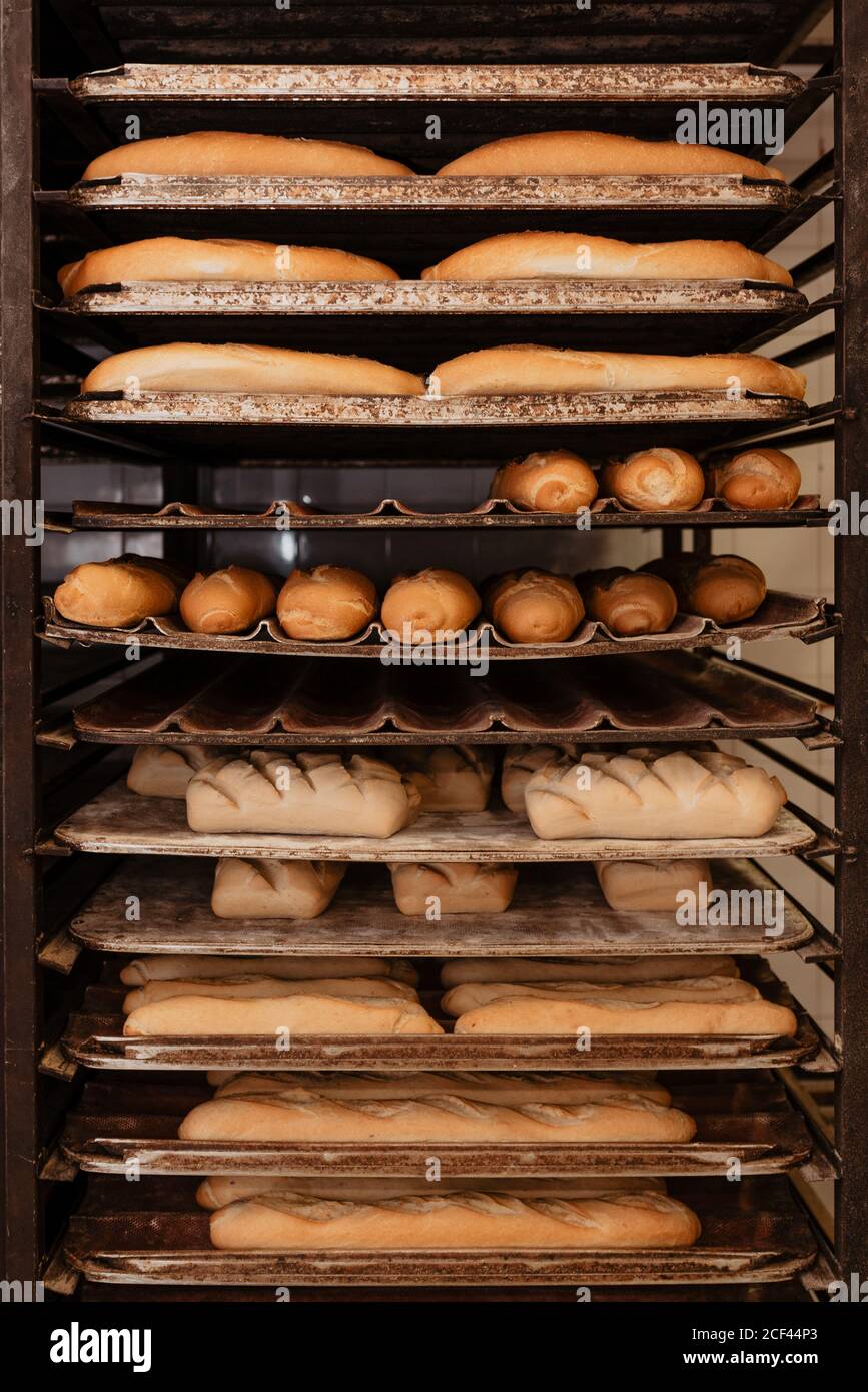 Loafs of yummy fresh bread and buns placed on metal trays on rack in ...