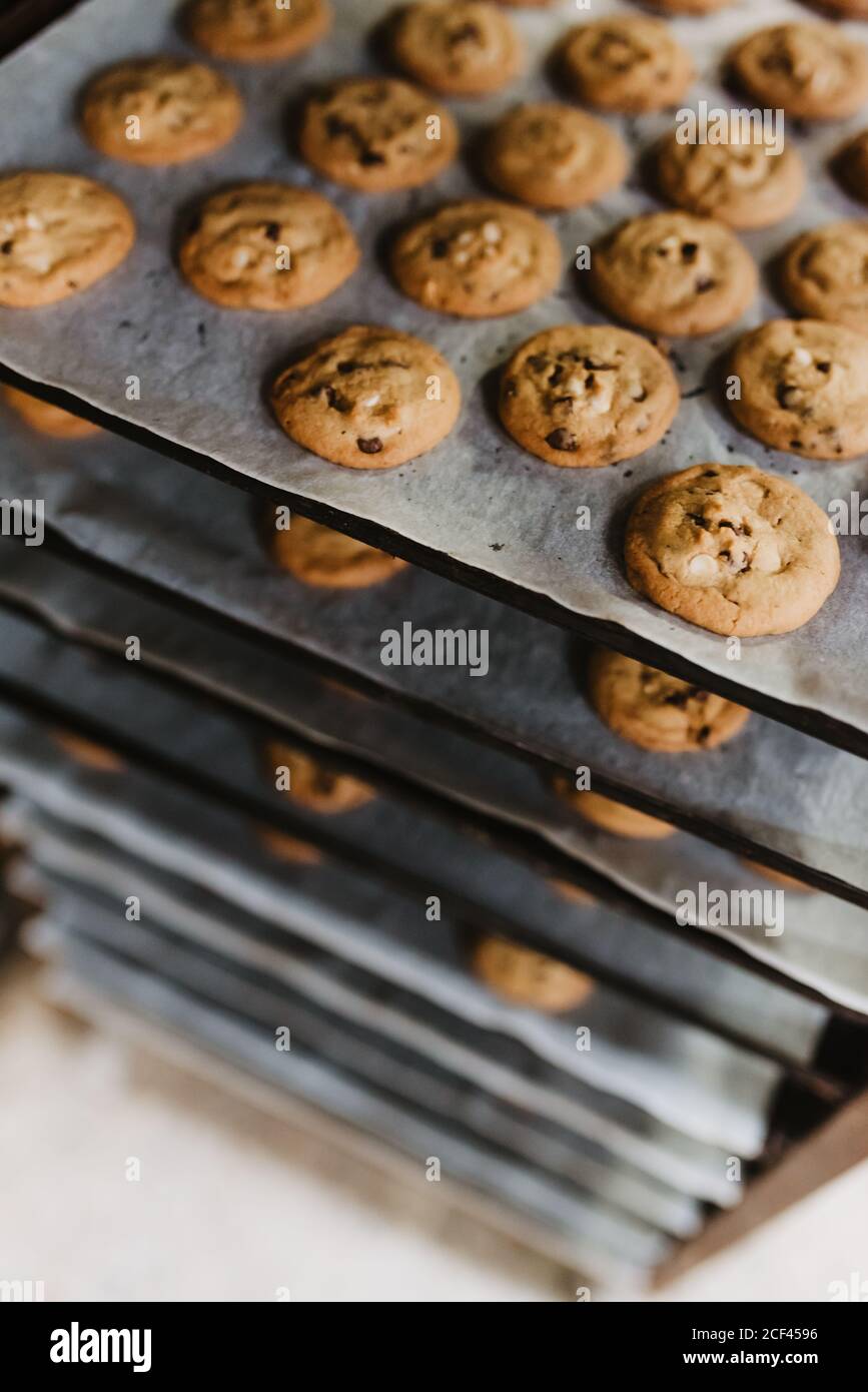 From above tasty fresh biscuits placed on trays on rack in bakery Stock ...