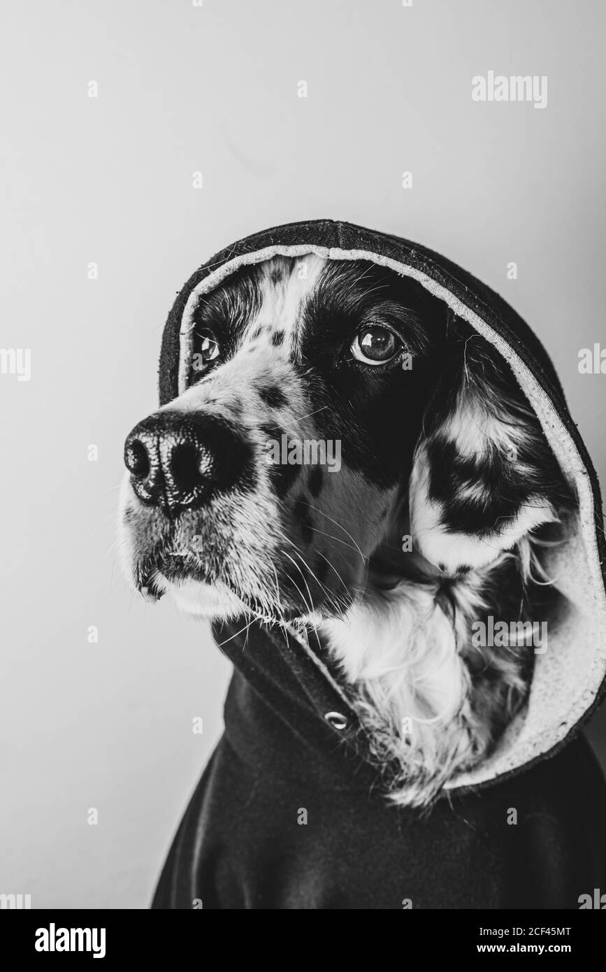 Cool outfit Black and White Stock Photos & Images - Alamy