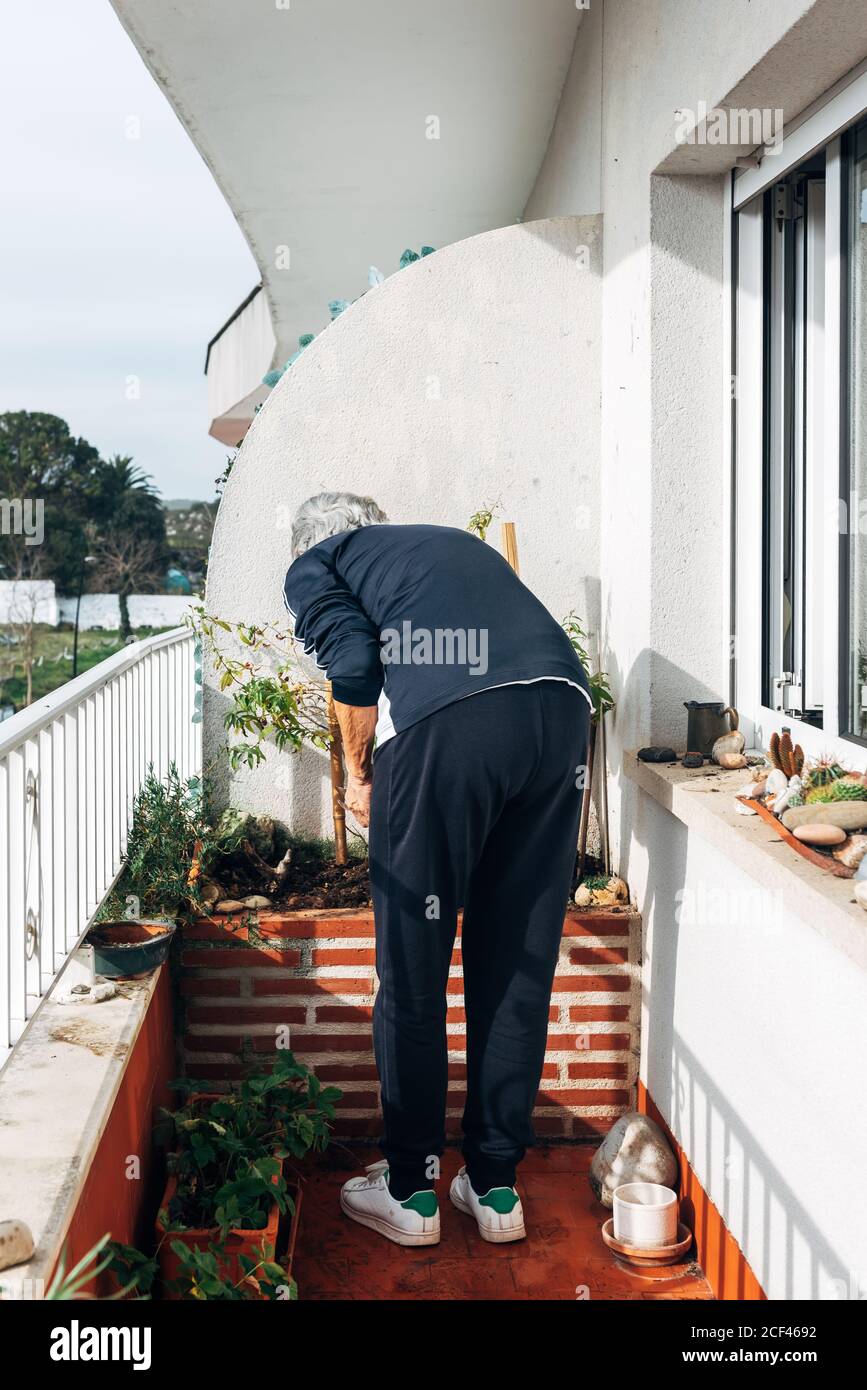 Macro view of brown eye of anonymous person lit by sunlight looking at ...
