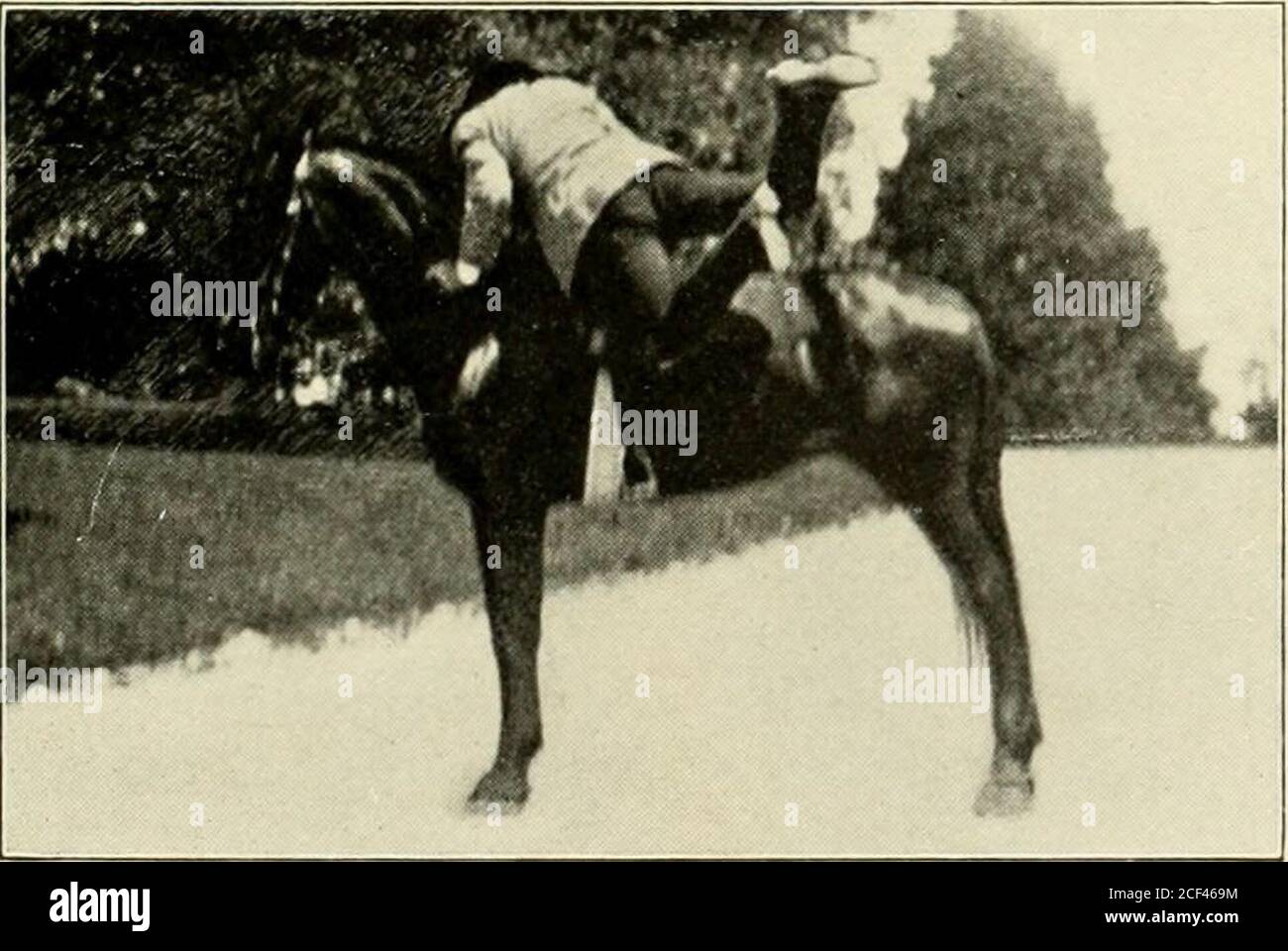 Dismounting From A Horse High Resolution Stock Photography and Images ...