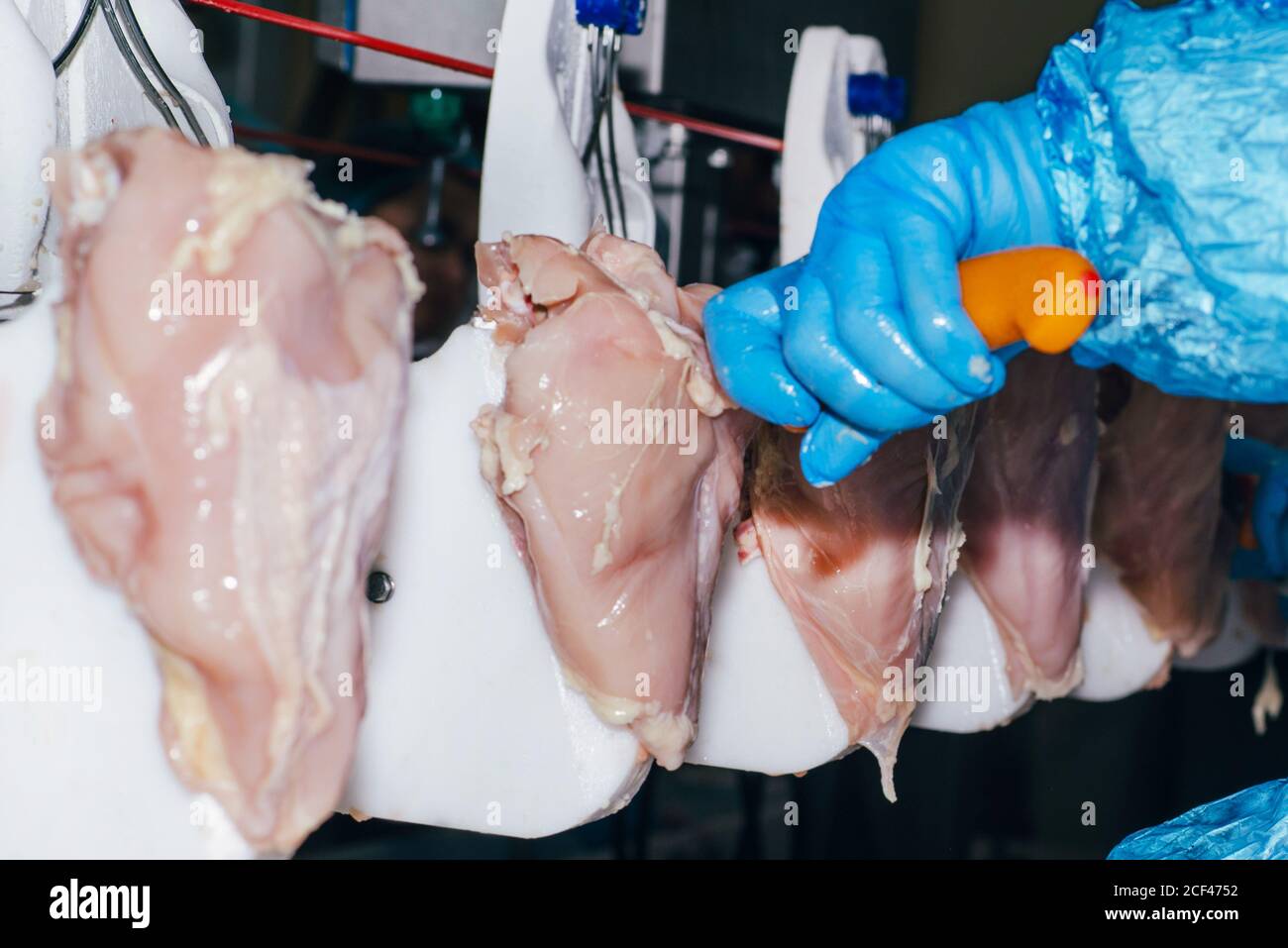 Food industry detail with poultry meat processing.Factory for the ...