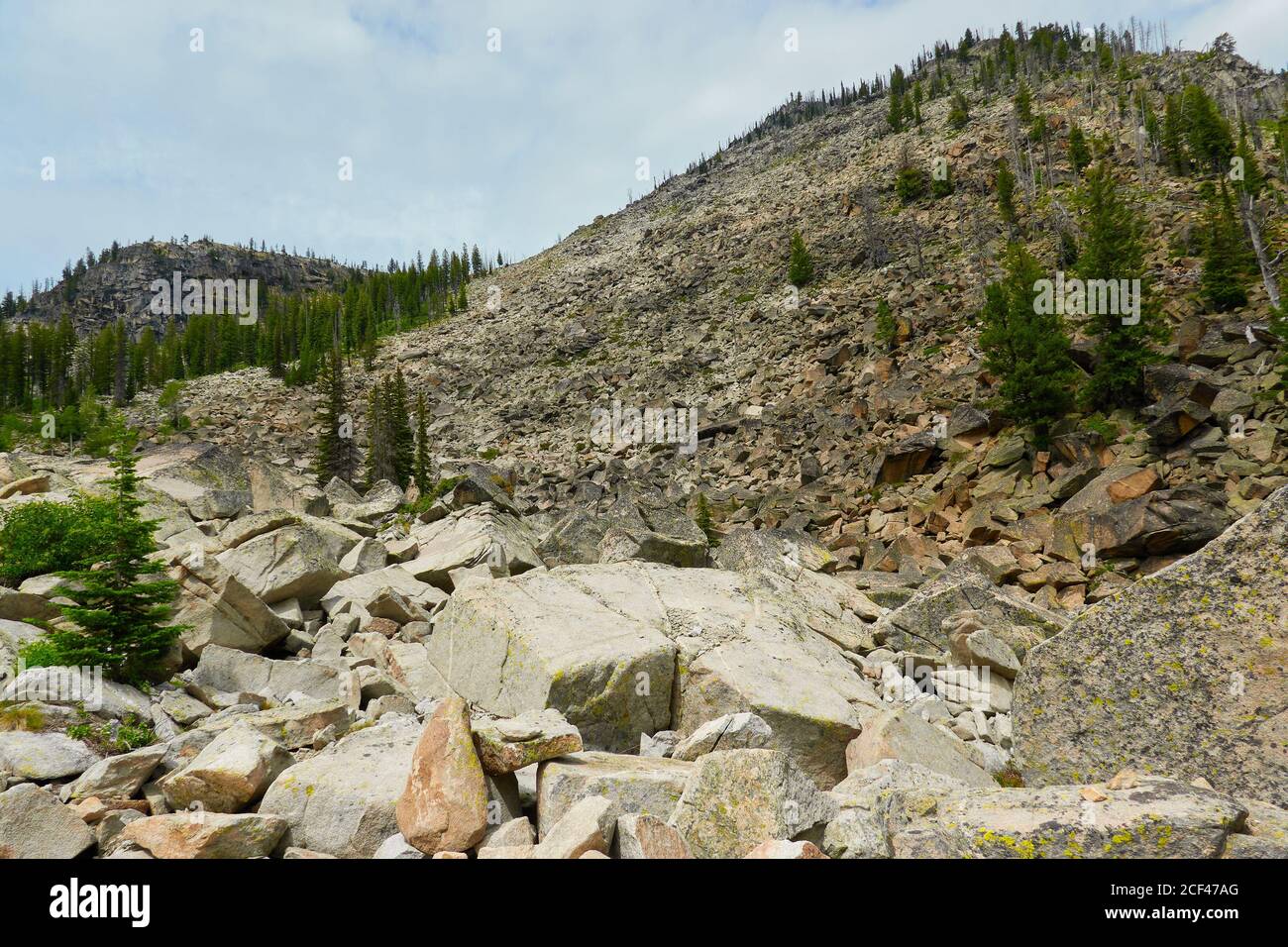 Mountain scree field off of East Fork Road in the Sawtooth National ...