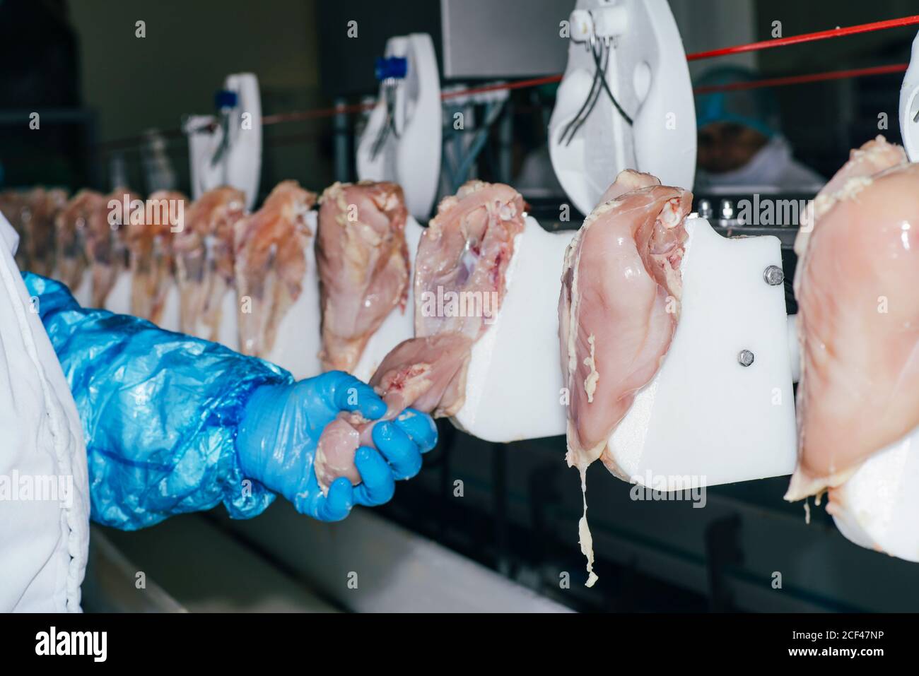 Food industry detail with poultry meat processing.Factory for the ...
