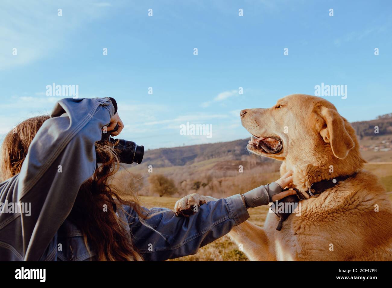 Side view of young Woman shooting on camera funny dog between meadow ...
