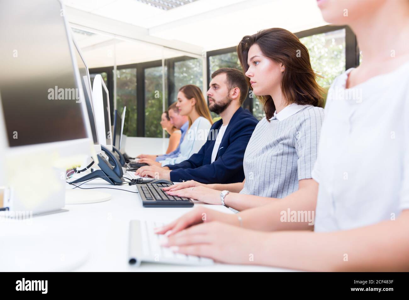 Side view of row of ordinary business people working with computers in ...