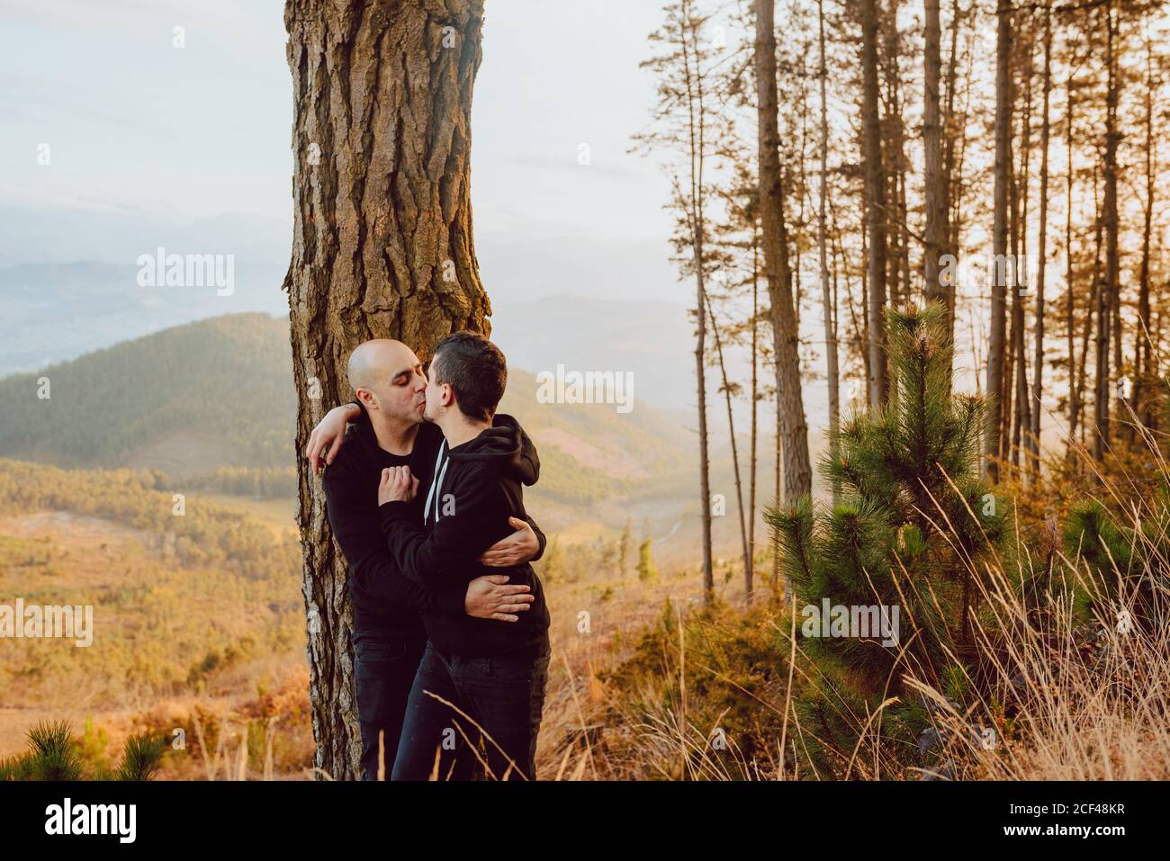 cheerful homosexual couple embracing near tree in forest and ...