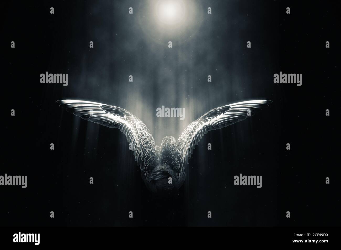 Flying bird. Creative abstract nature. Darkness background ...