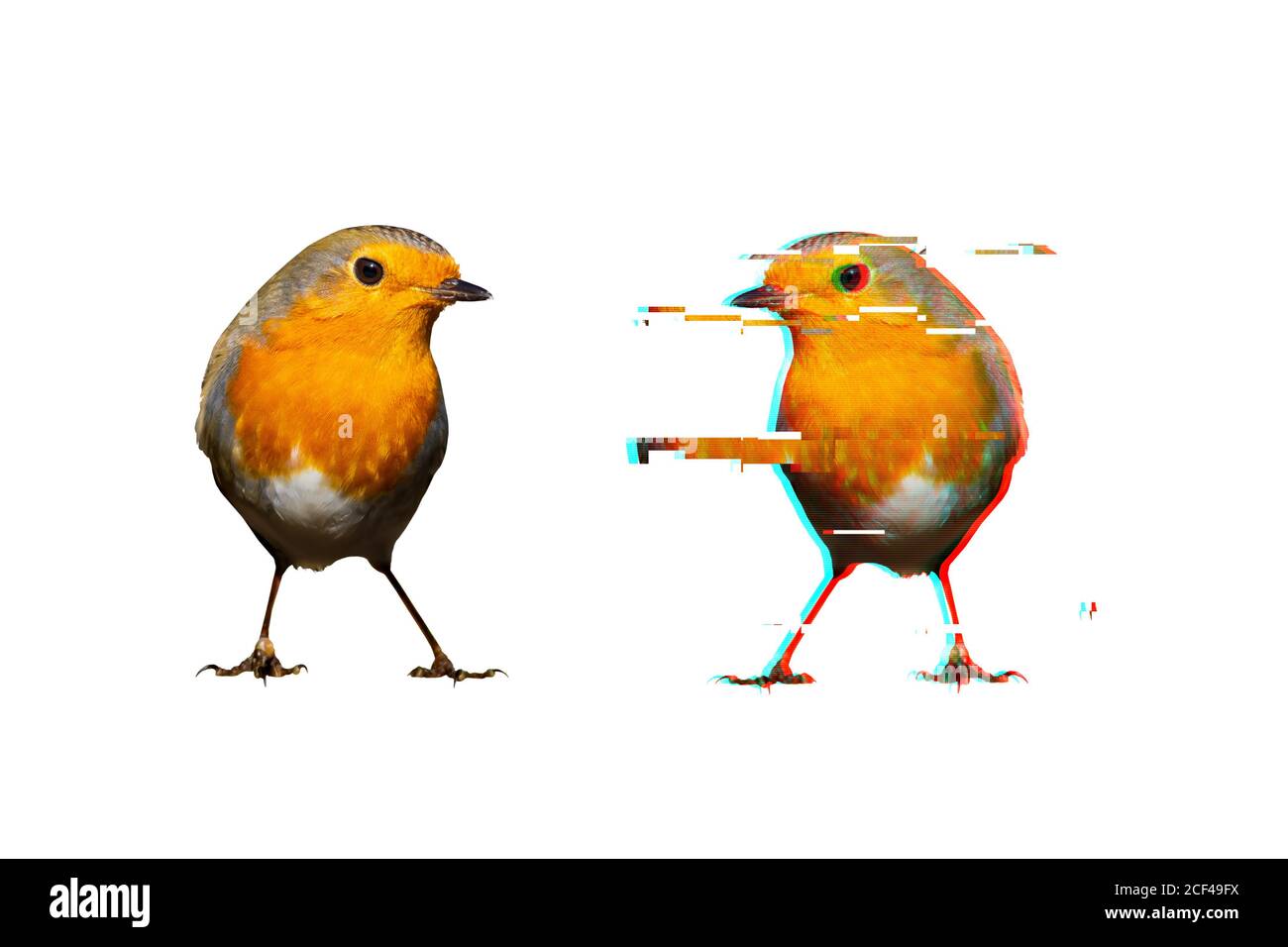 Creative abstract nature. White background. Illustration. Bird: Robin ...