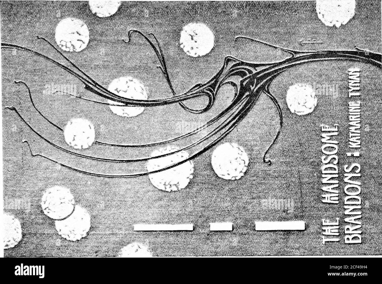 . Modern book-bindings & their designers Stock Photo - Alamy