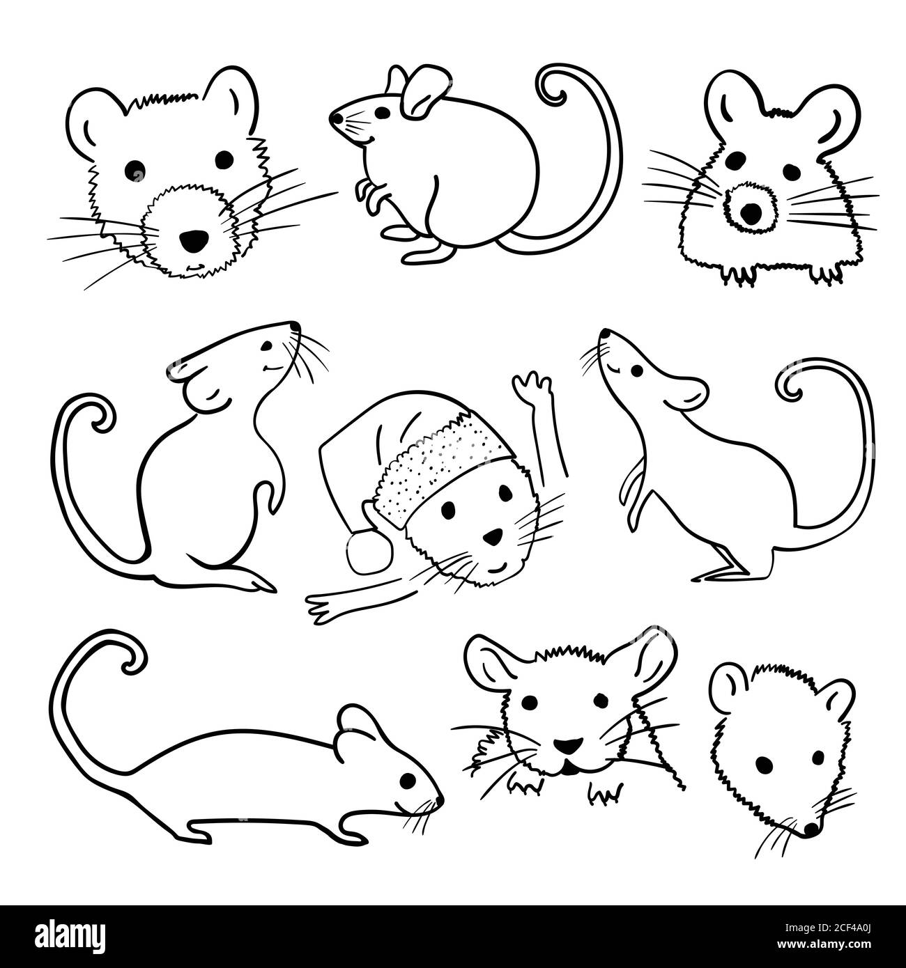 The Year of the Mouse or Rat. Vector set outline hand drawn brush ...