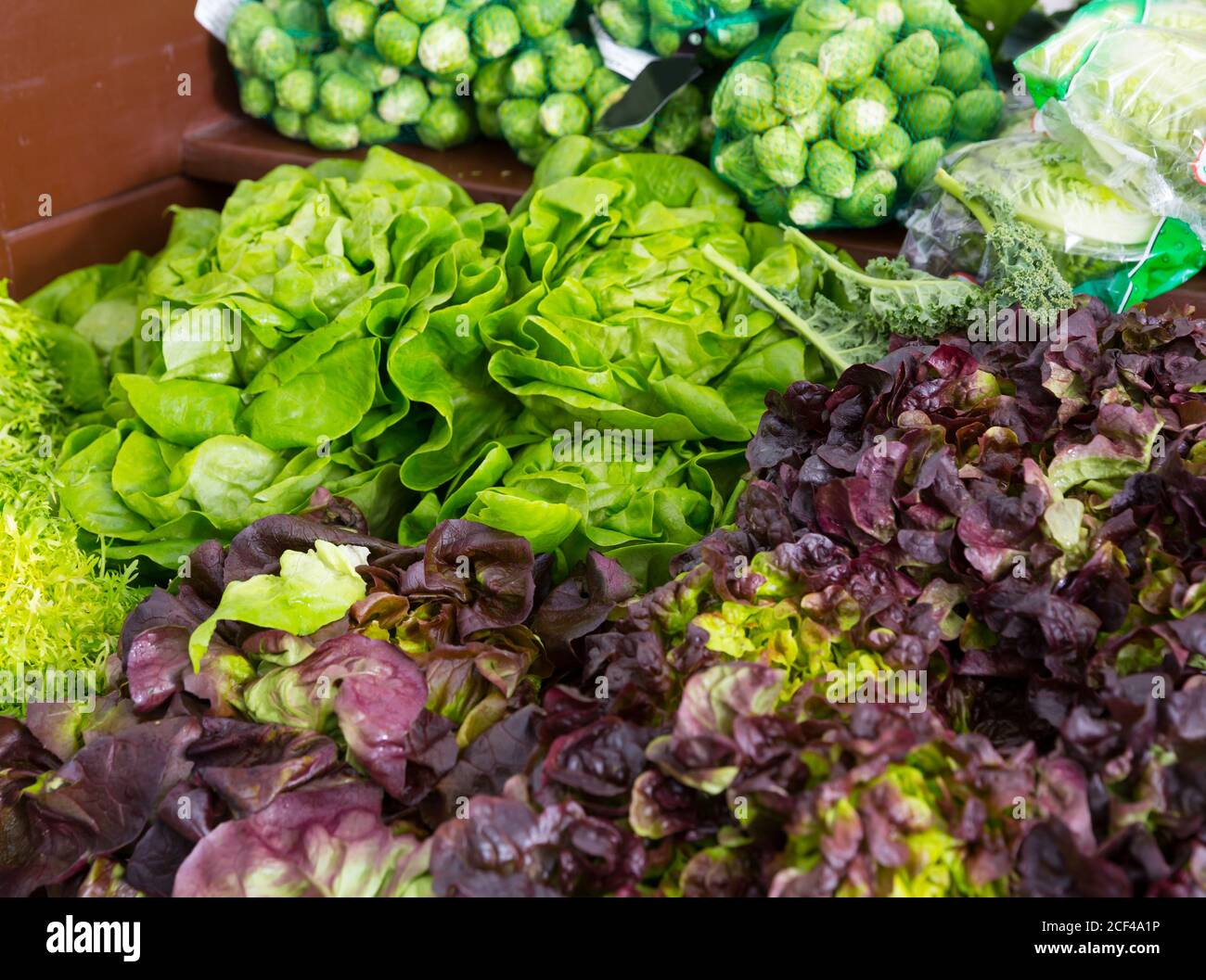 Showcase with fresh assorted greens in greengrocery Stock Photo - Alamy