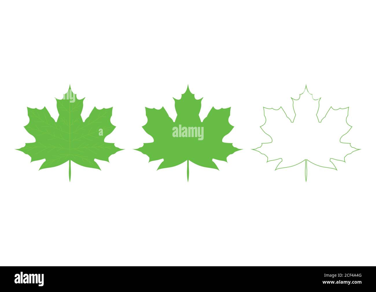 A collection of vector Canadian maple leaf icons. Silhouette of autumn leaves icon set isolated ...
