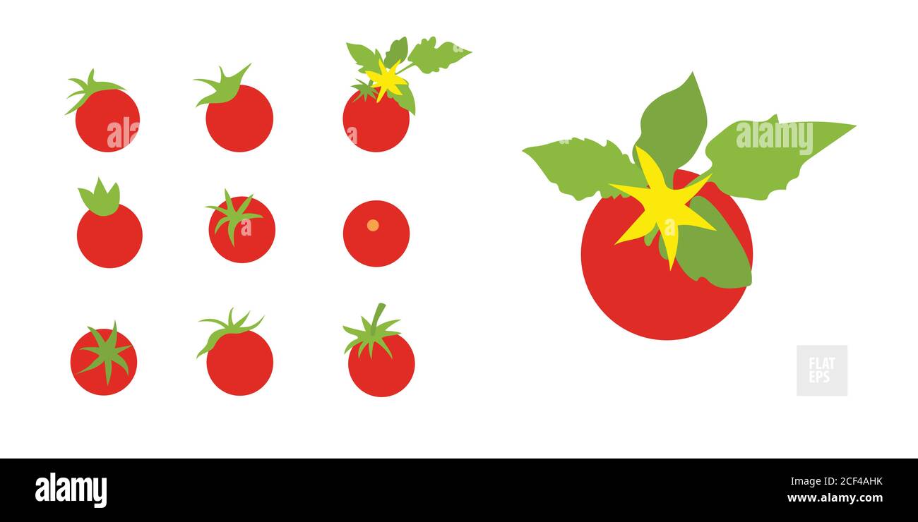 Tomatoes on a white background set. Very simple flat style. Different ...