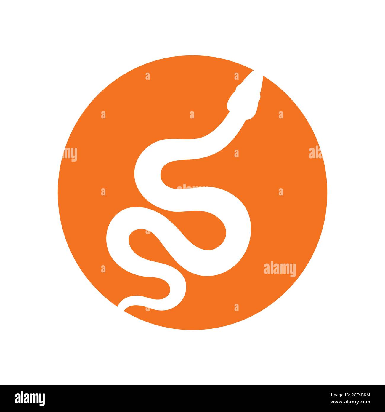Native snake species Cut Out Stock Images & Pictures - Alamy