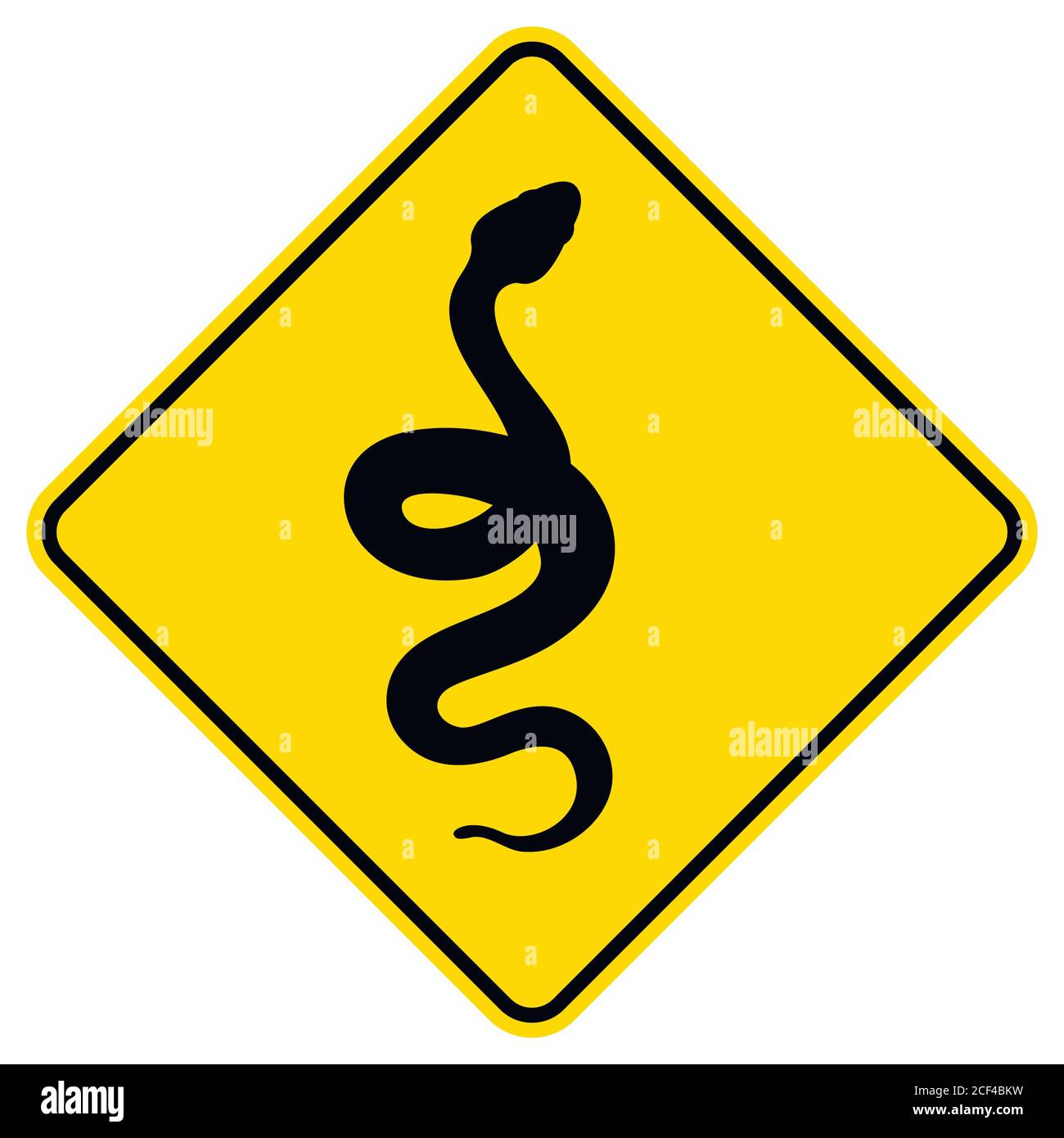 Native snake species Cut Out Stock Images & Pictures - Alamy
