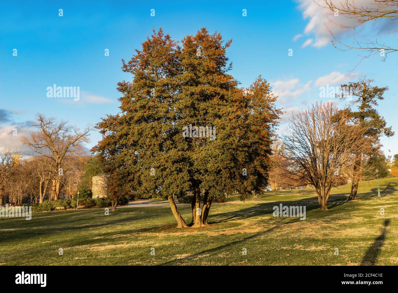 Only tree in landscape hi-res stock photography and images - Alamy
