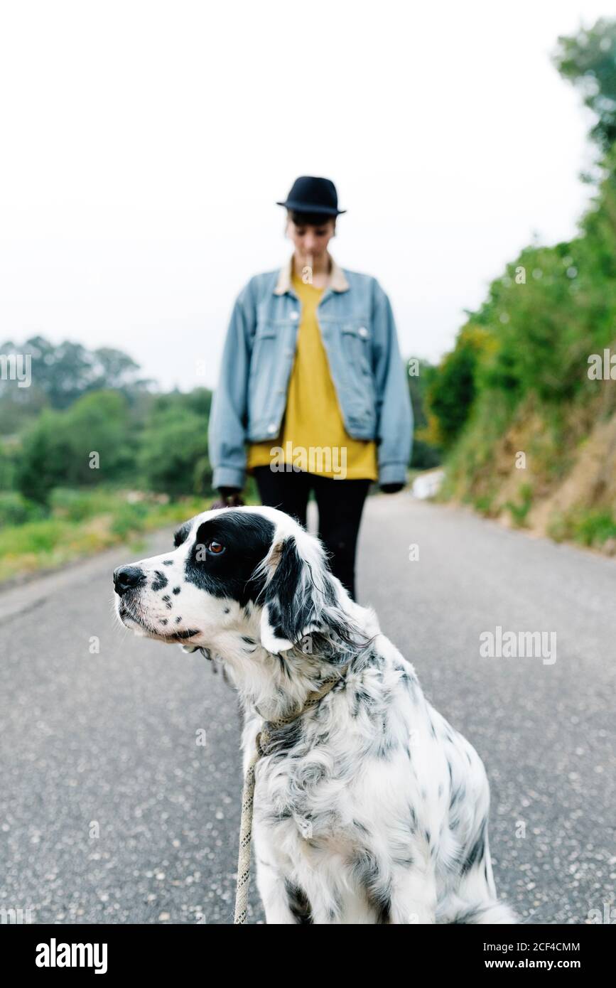 Dog with spots hi-res stock photography and images - Alamy