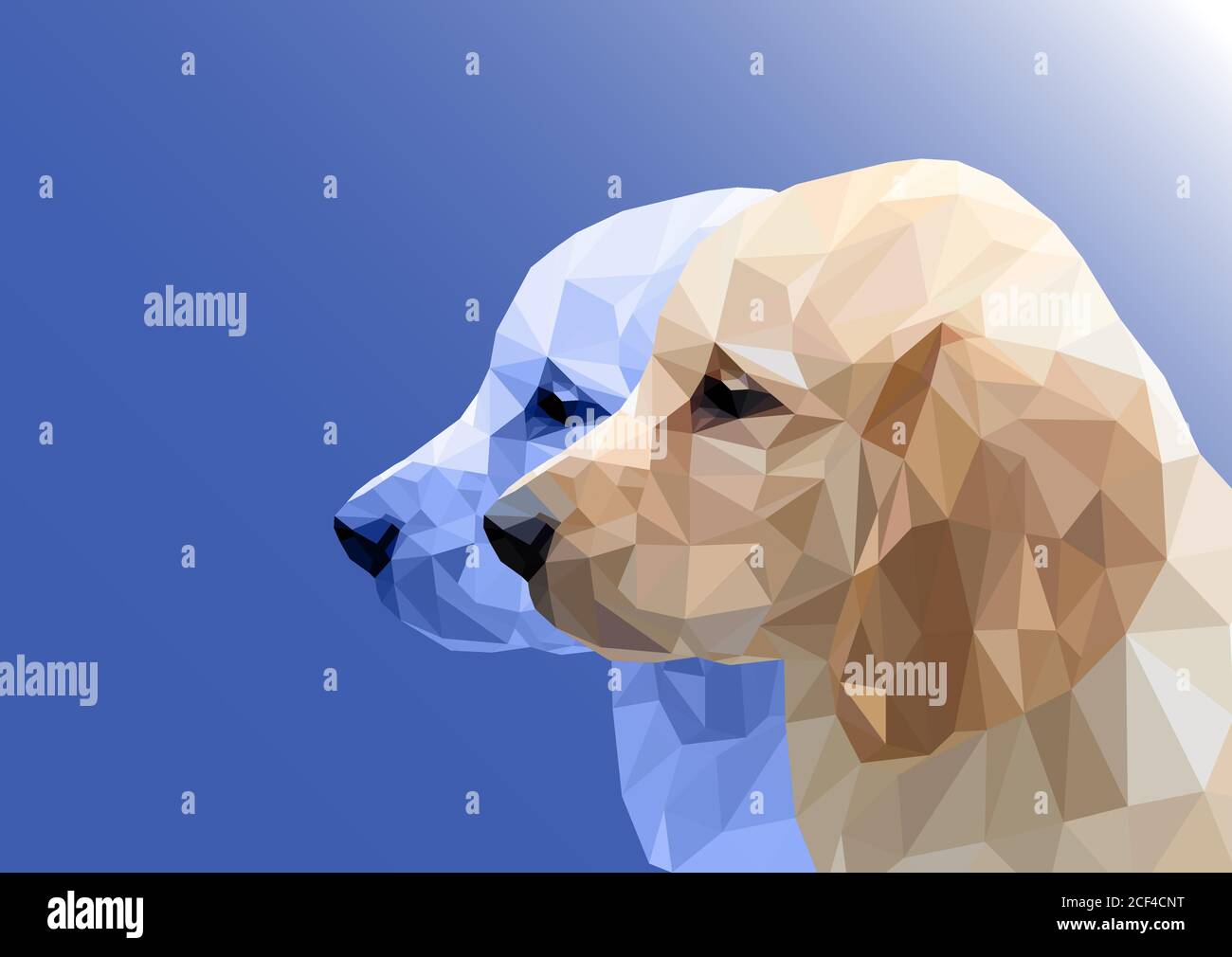 Dogs polygon silhouette. The breed is Labrador. Vector illustration ...