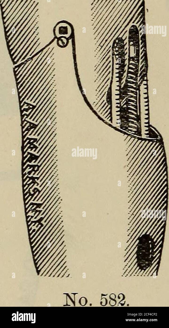 Three stump feet hi-res stock photography and images - Alamy