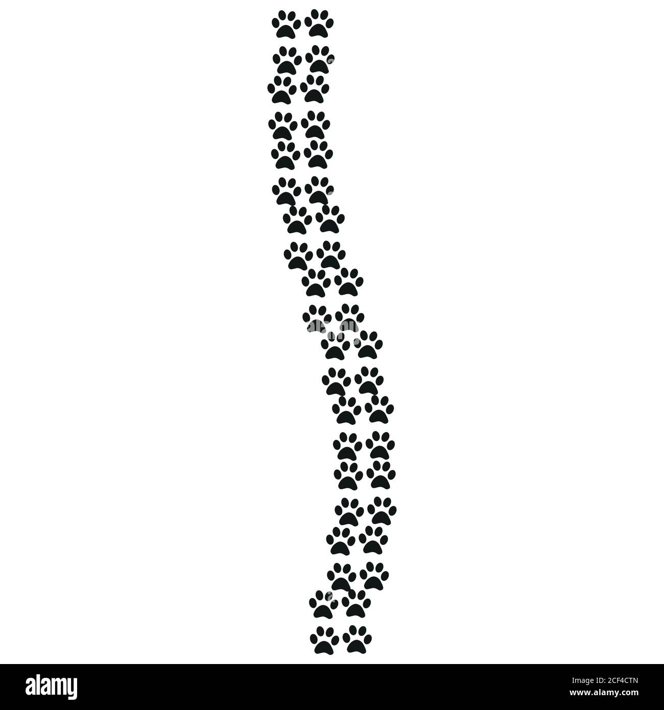 Footpath trail of animal. Dog or cat paws print isolated on white ...