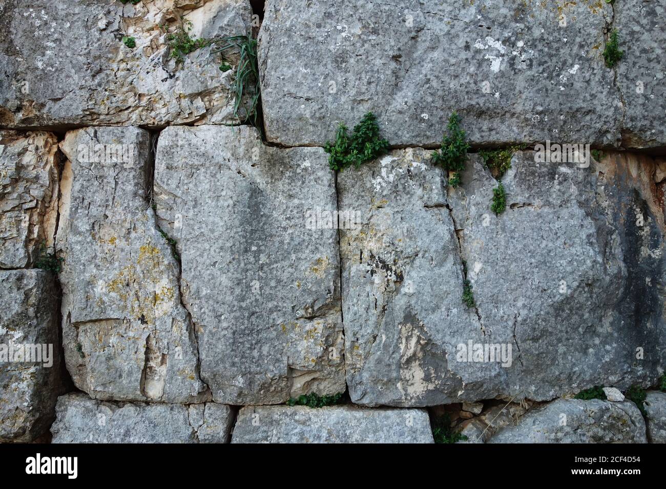 megalithic walls structure in Norba, Latina, Italy Stock Photo - Alamy