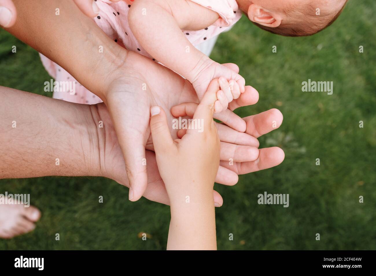 Hands of the whole family. Hands of mom, dad and children. Four hands ...