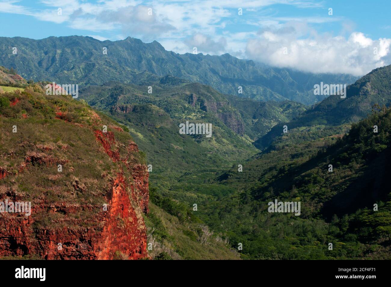 Hawaiian red dirt in nature hi-res stock photography and images - Alamy