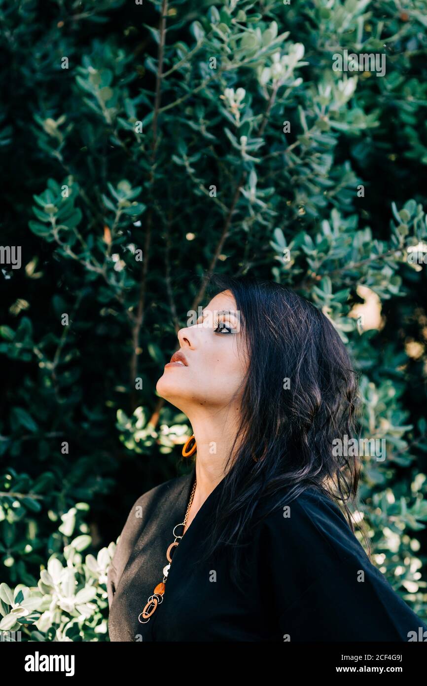 Peeking out of the bushes hi-res stock photography and images - Alamy
