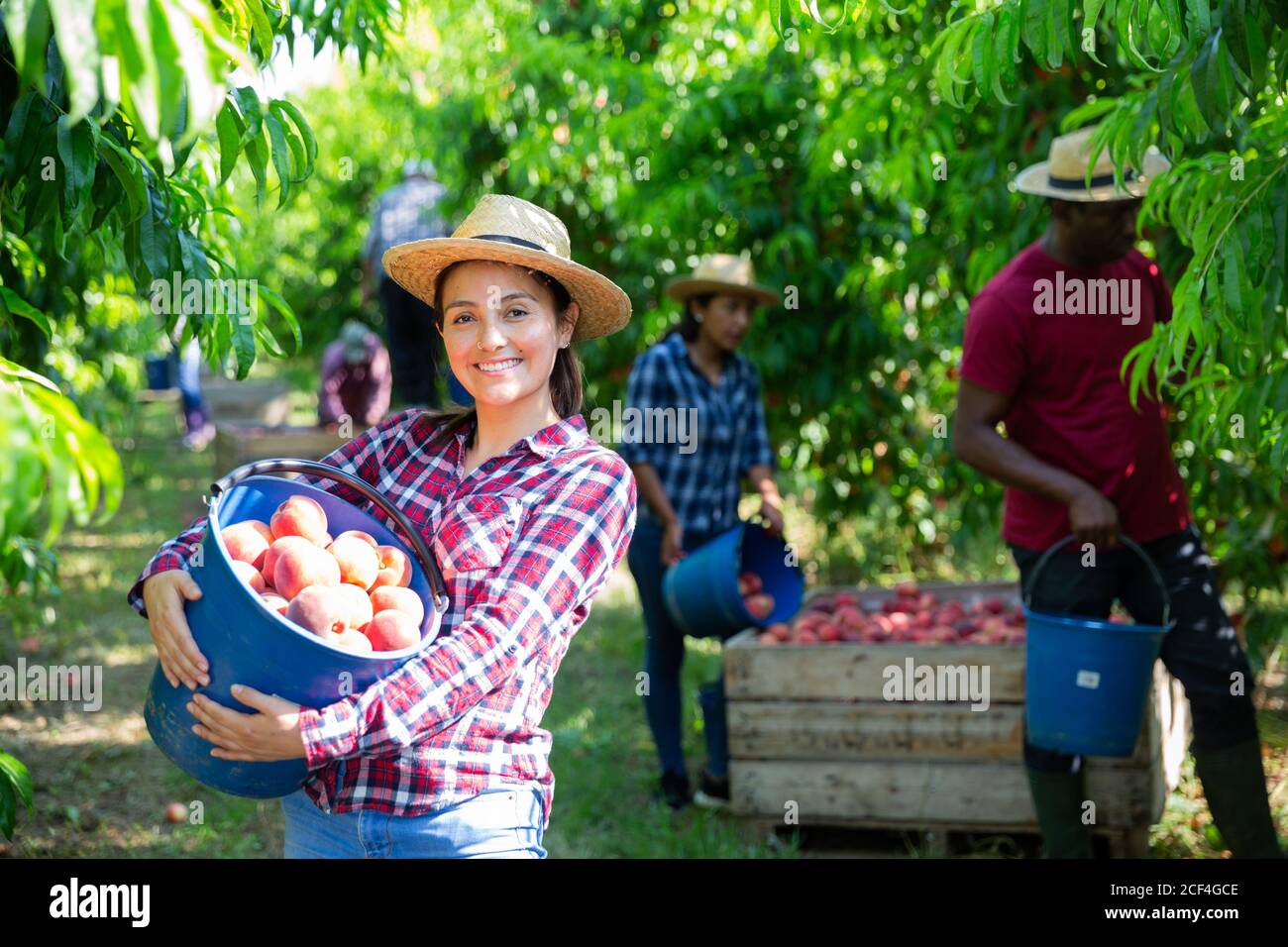 Portrait of smiling young Peruvian woman farmer with bucket of freshly ...