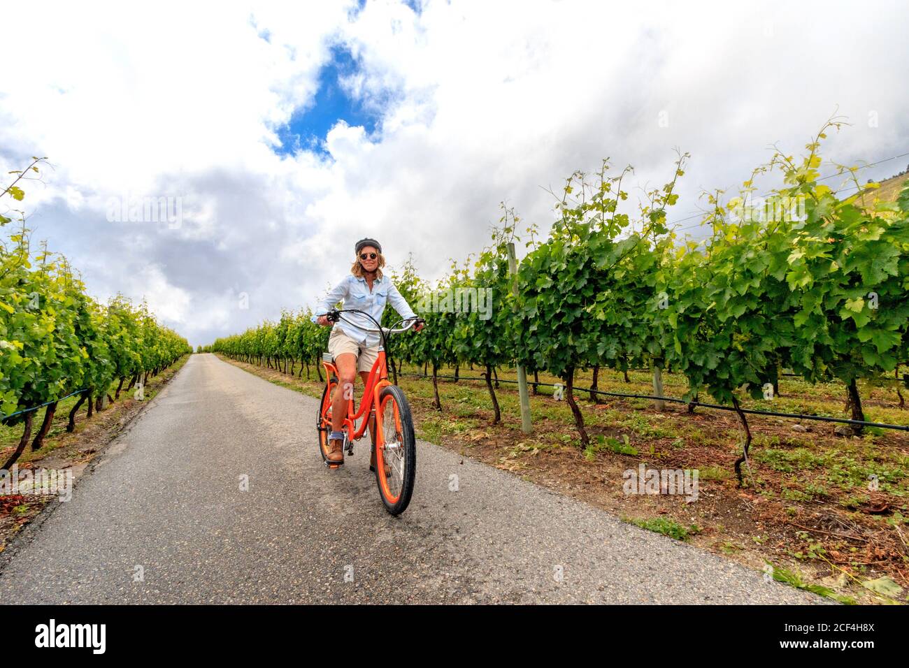 Bike vineyard canada hi-res stock photography and images - Alamy