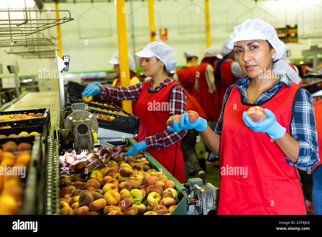 Portrait of positive female employee on fruit sorting department ...