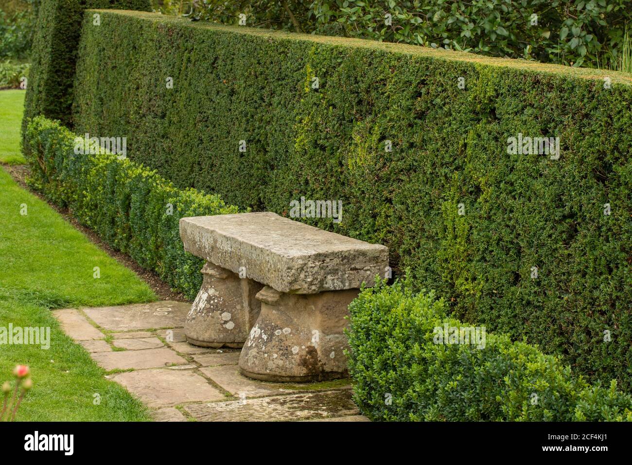 Empty stone bench against simple topiary hedge Stock Photo - Alamy