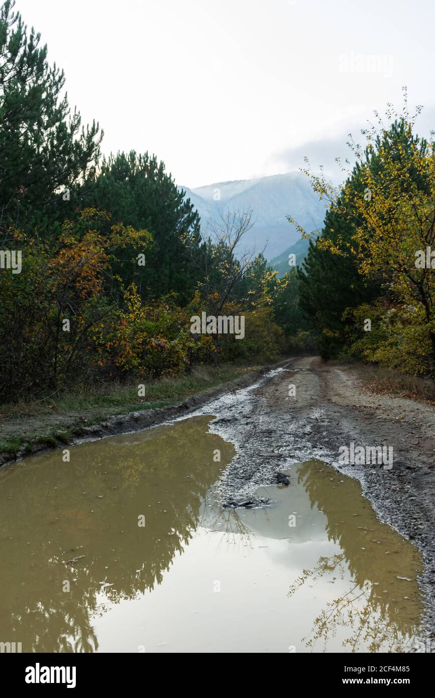 Autumn landscape with a puddle on the road. Country road through the ...