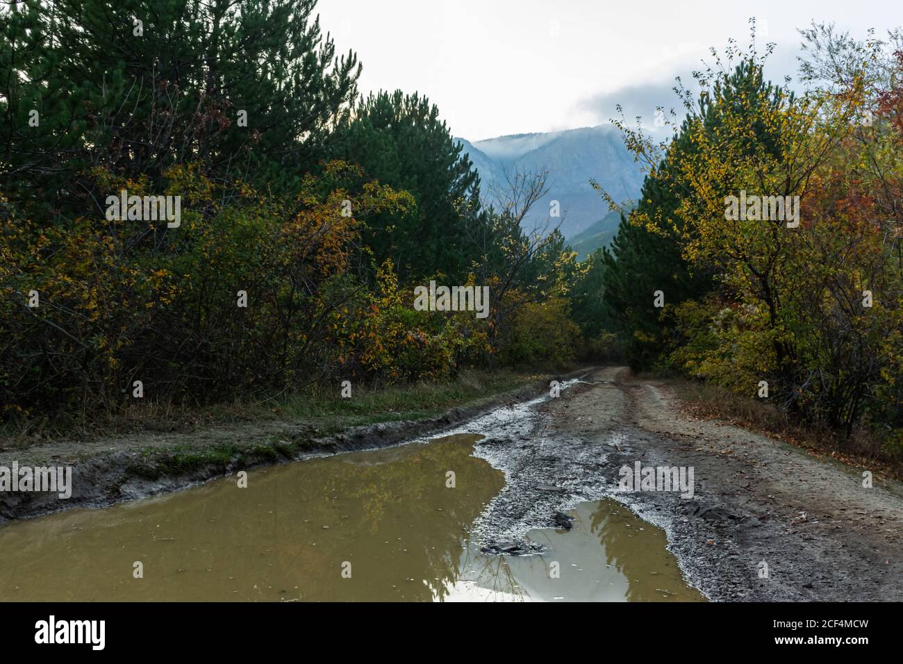 Autumn landscape with a puddle on the road. Country road through the ...