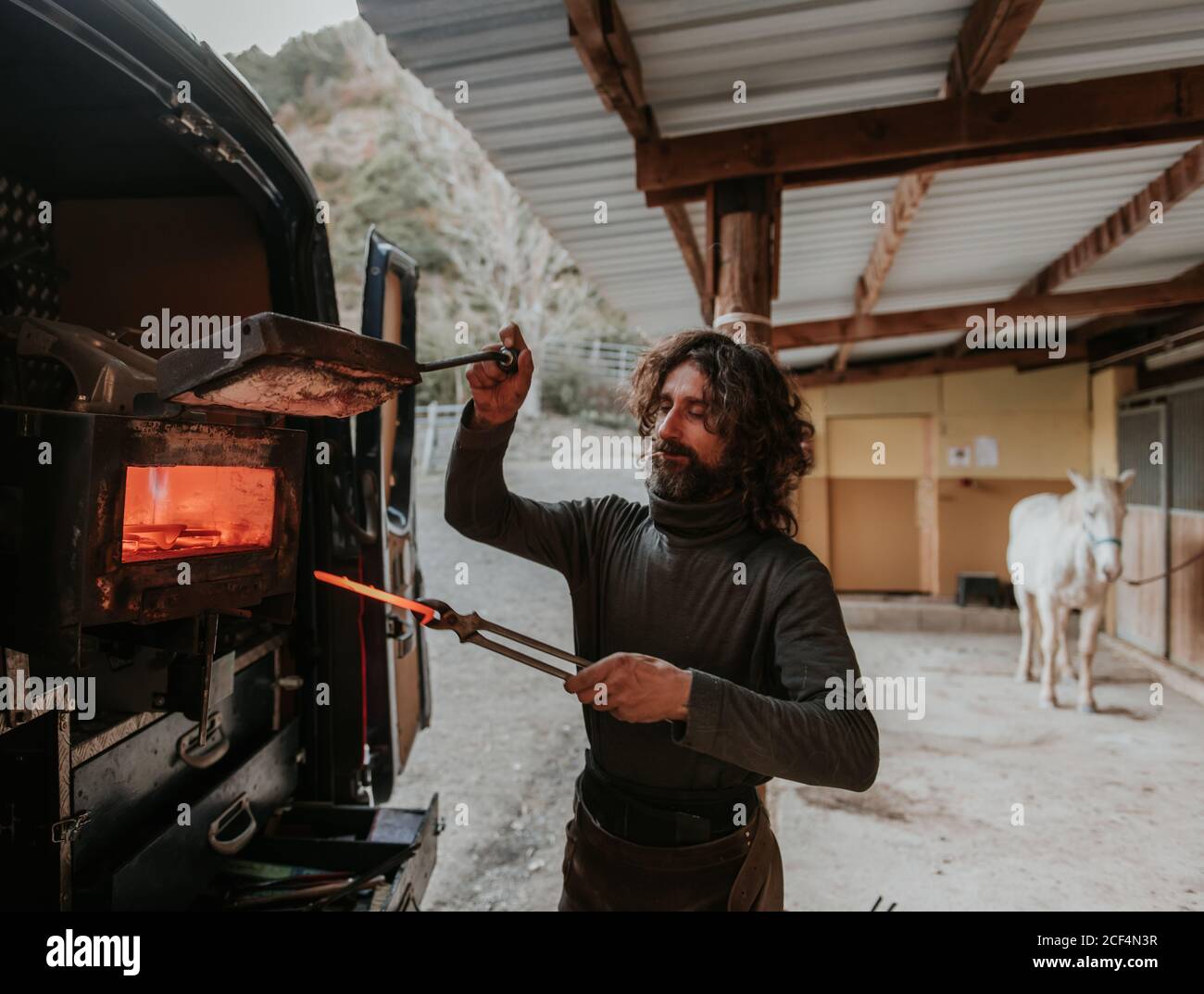 Bearded adult farrier taking hot horseshoe from portable furnace in ...