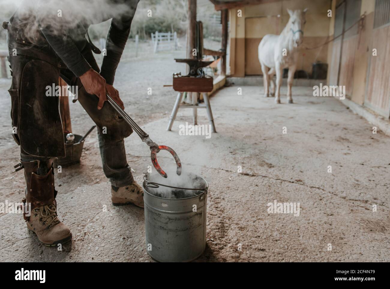 Adult farrier using hammer and tongs to forge hot horseshoe on portable ...