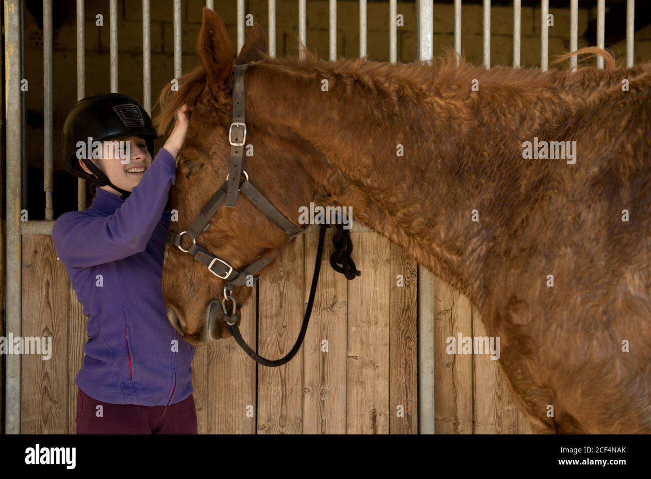 Cute little girl in helmet putting brushing a white horse while ...
