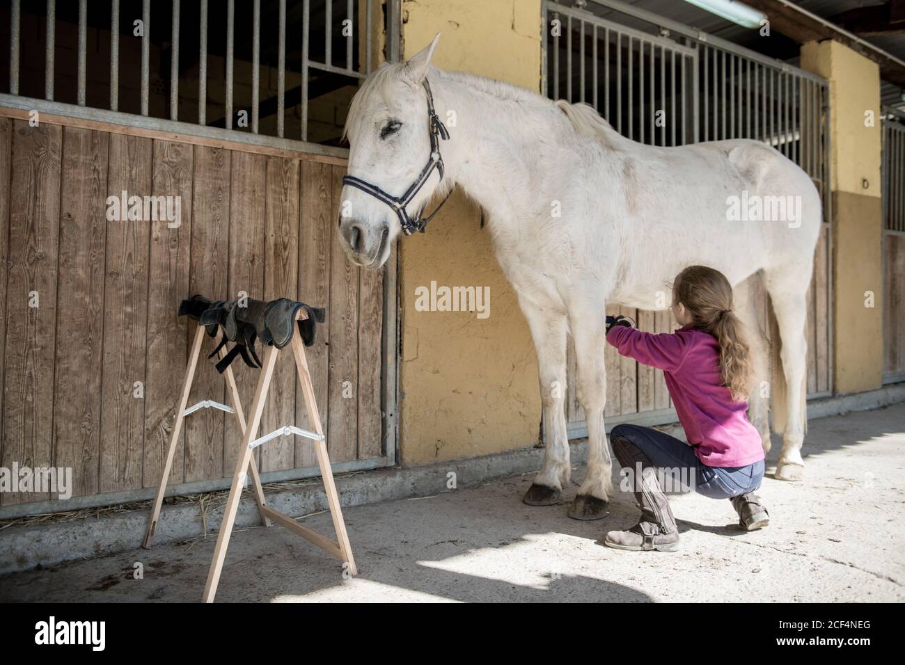 anonymous little girl taking care of horse near stable after lesson on ...