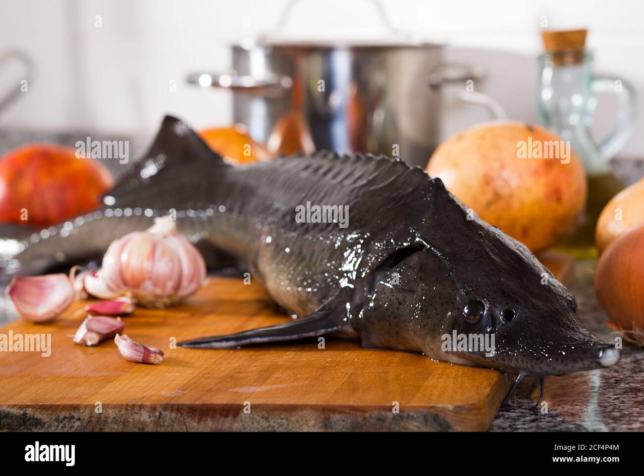 Picture of raw fish sturgeon at plate before preparing laying on table ...