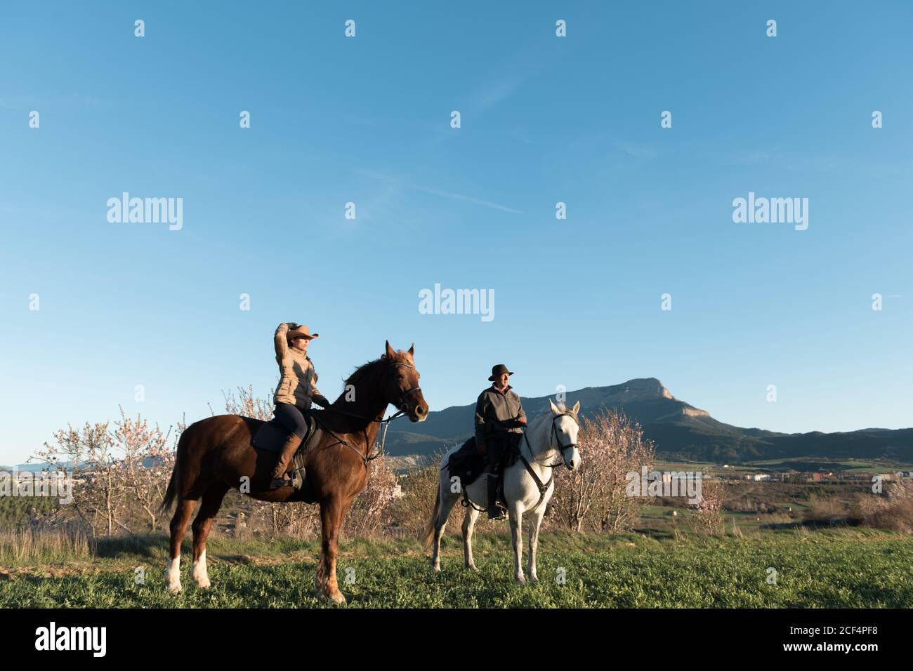 man and Woman riding horses on ranch Stock Photo - Alamy