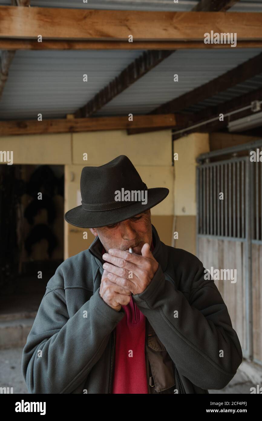 Inside Stable High Resolution Stock Photography and Images - Alamy