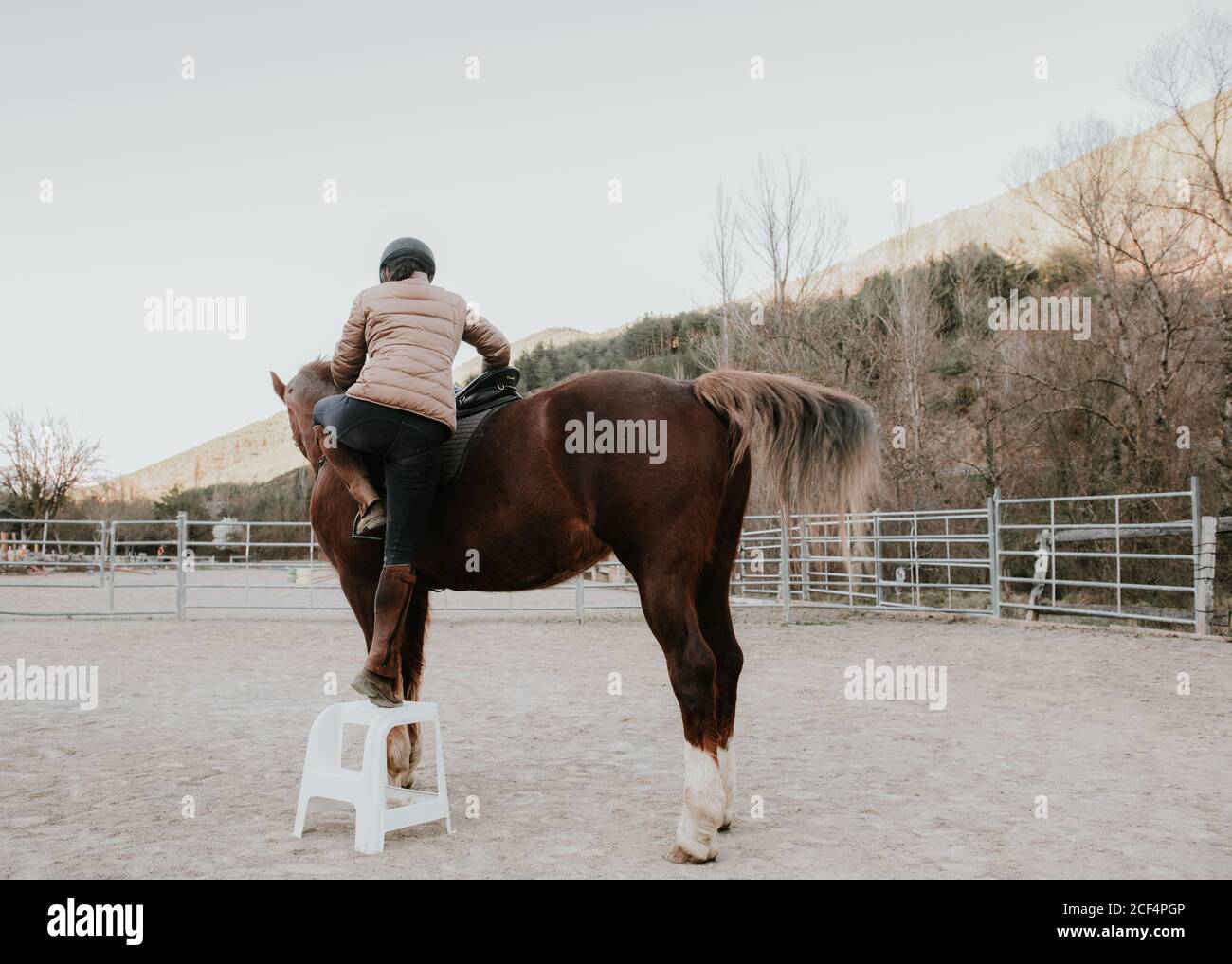Woman mounting horse hi-res stock photography and images - Alamy